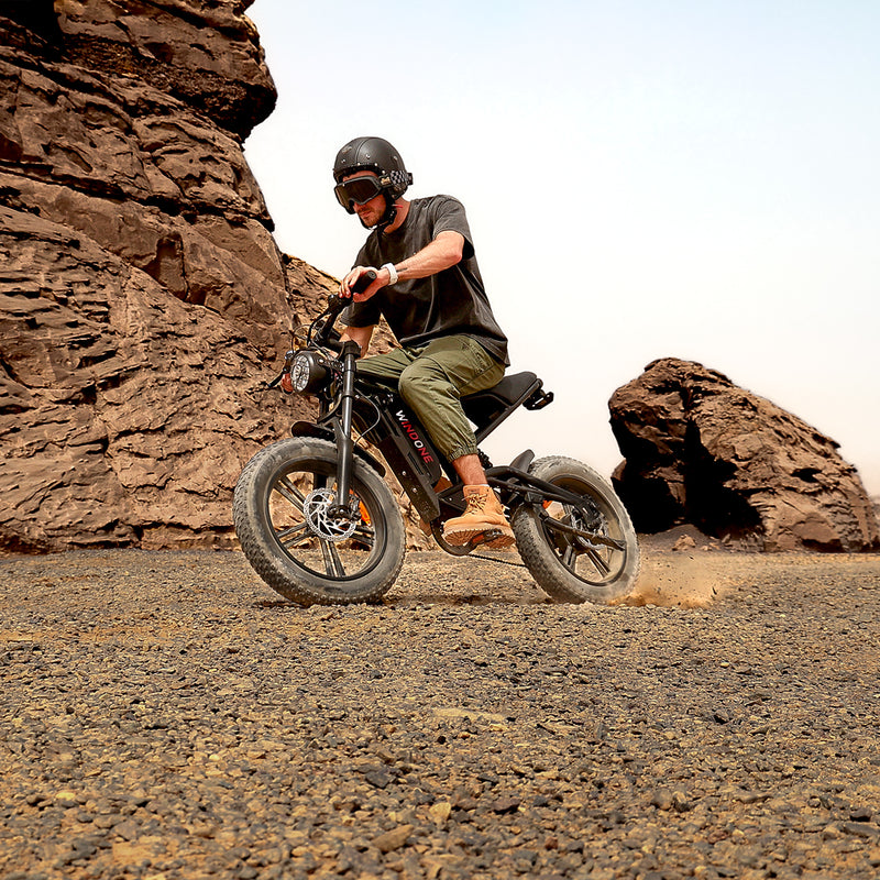 Windone E2 Fat Tire Off Road Urban Commuter Electric Bike