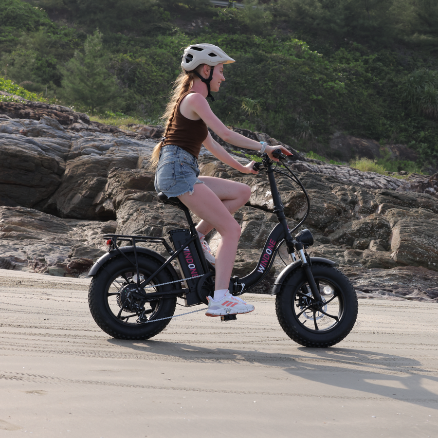 Windone S16 Fat Tire Folding Commuting Electric Bike
