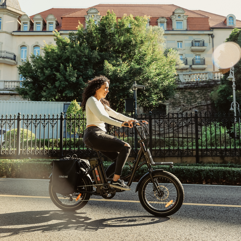 Windone E20 Step-Through Compact Utility Commuter Electric Bike