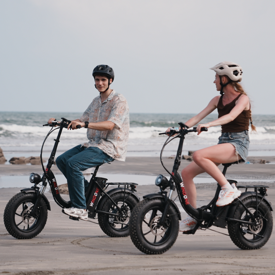Windone S16 Fat Tire Folding Commuting Electric Bike