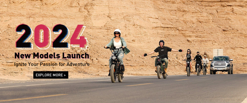 Windone - Best Electric Bike, Windone Ebikes for Sale