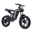 Windone E2 Fat Tire Off Road Urban Commuter Electric Bike