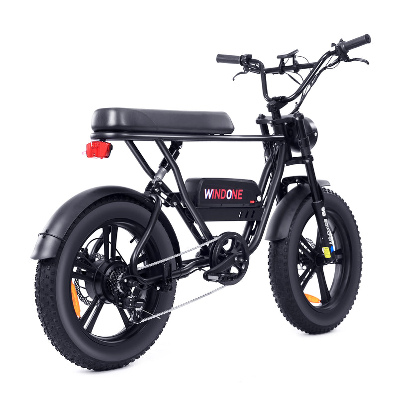 Windone K2 Off-Road Adventure Fat Tire Electric Bike