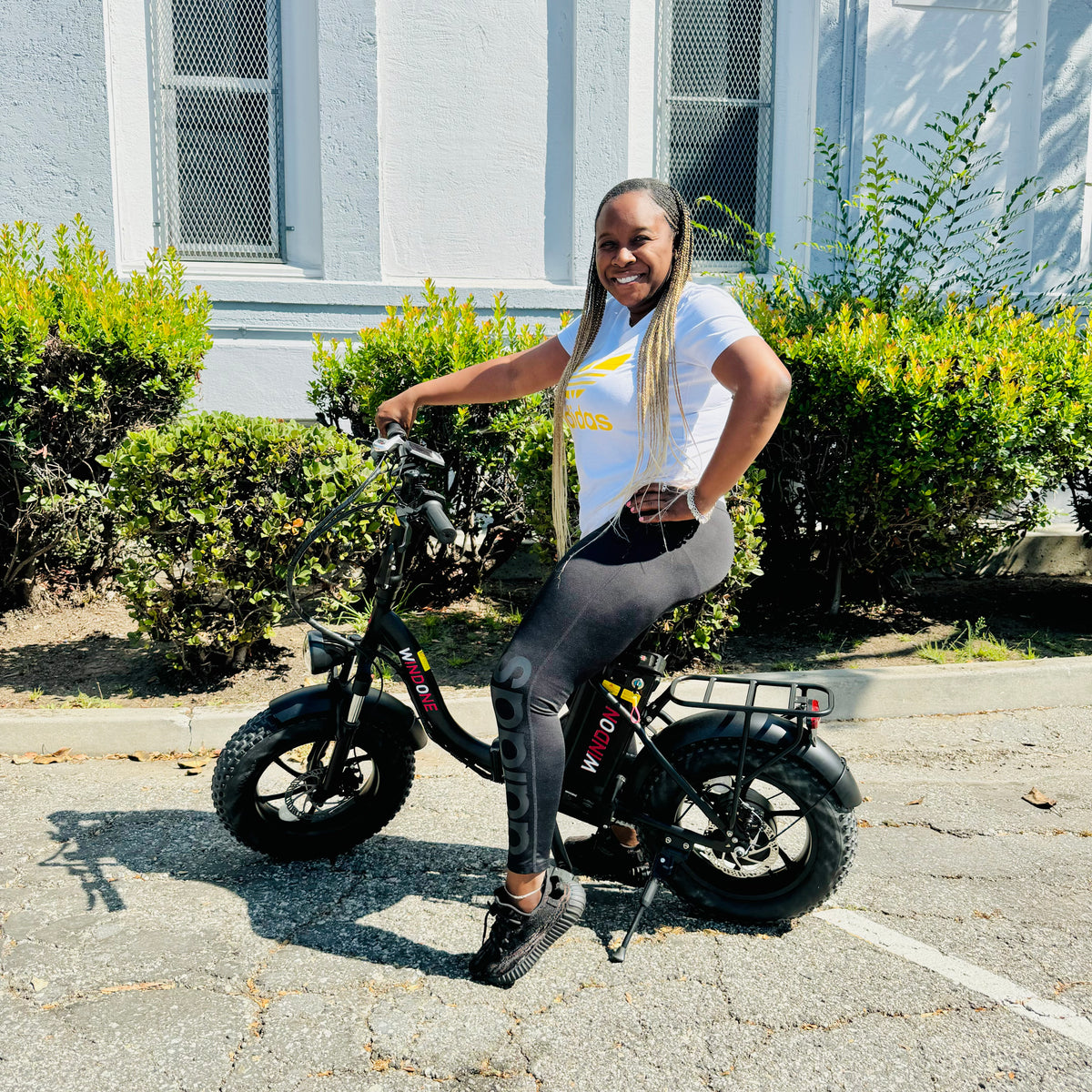 Windone S16 Fat Tire Folding Commuting Electric Bike